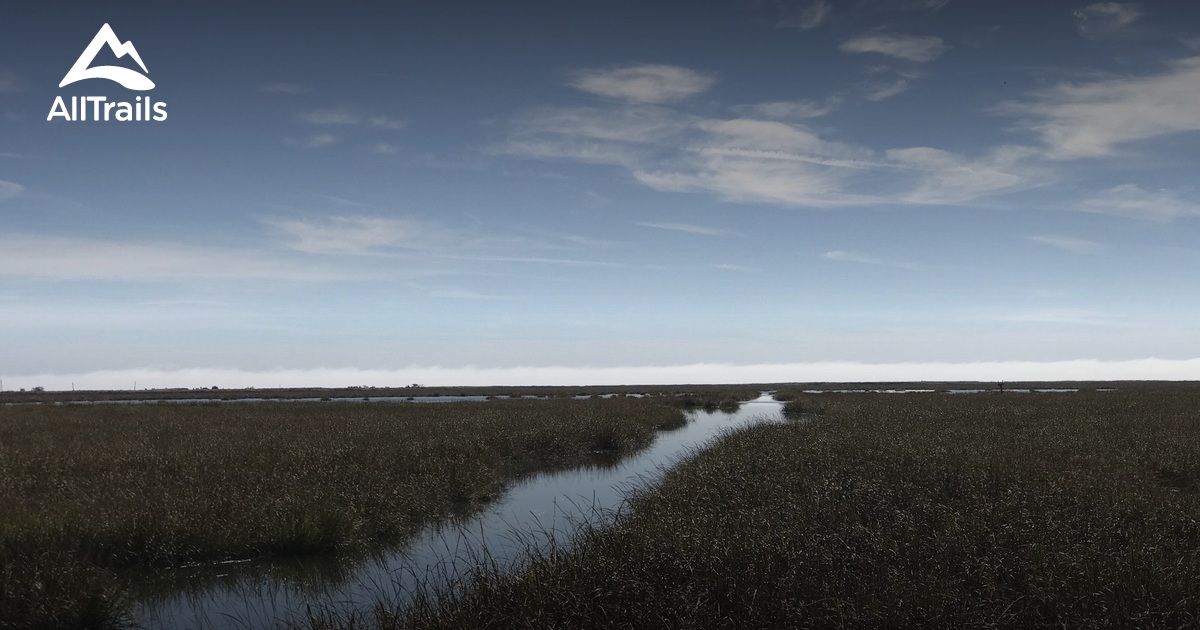 Best hikes and trails in Heislerville Wma | AllTrails