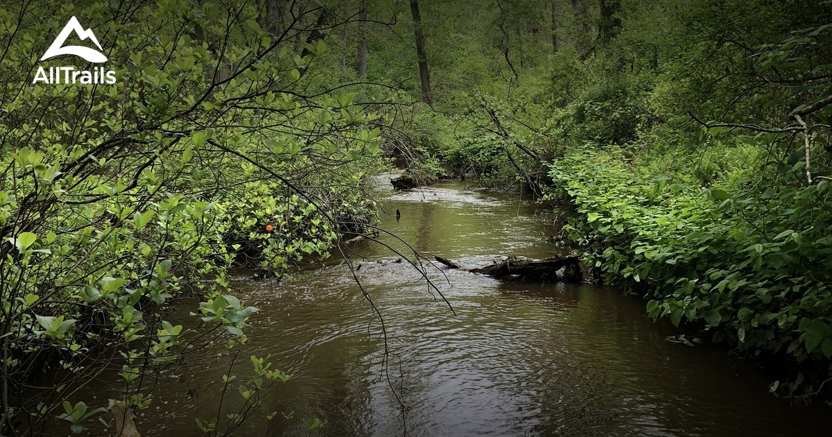 Best hikes and trails in Shark River Park | AllTrails