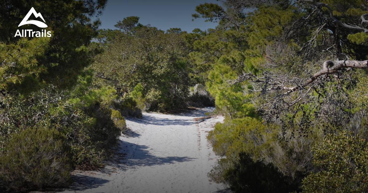 Best hikes and trails in St Joseph Peninsula State Park | AllTrails