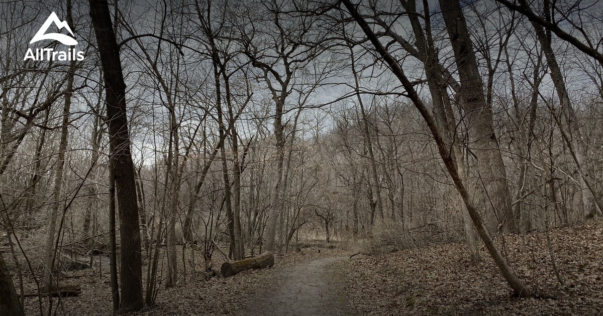 Best Trails in Margo Frankel Woods State Park - Iowa | AllTrails