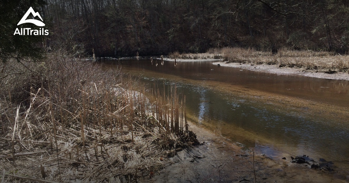 Quashnet River State Forest: Die besten Routen zum Wandern | AllTrails