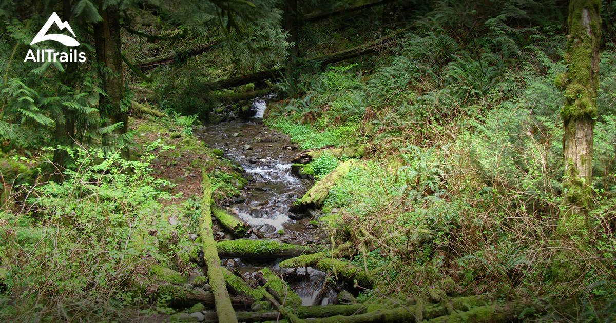 Best Trails in Tiger Mountain State Forest | AllTrails.com