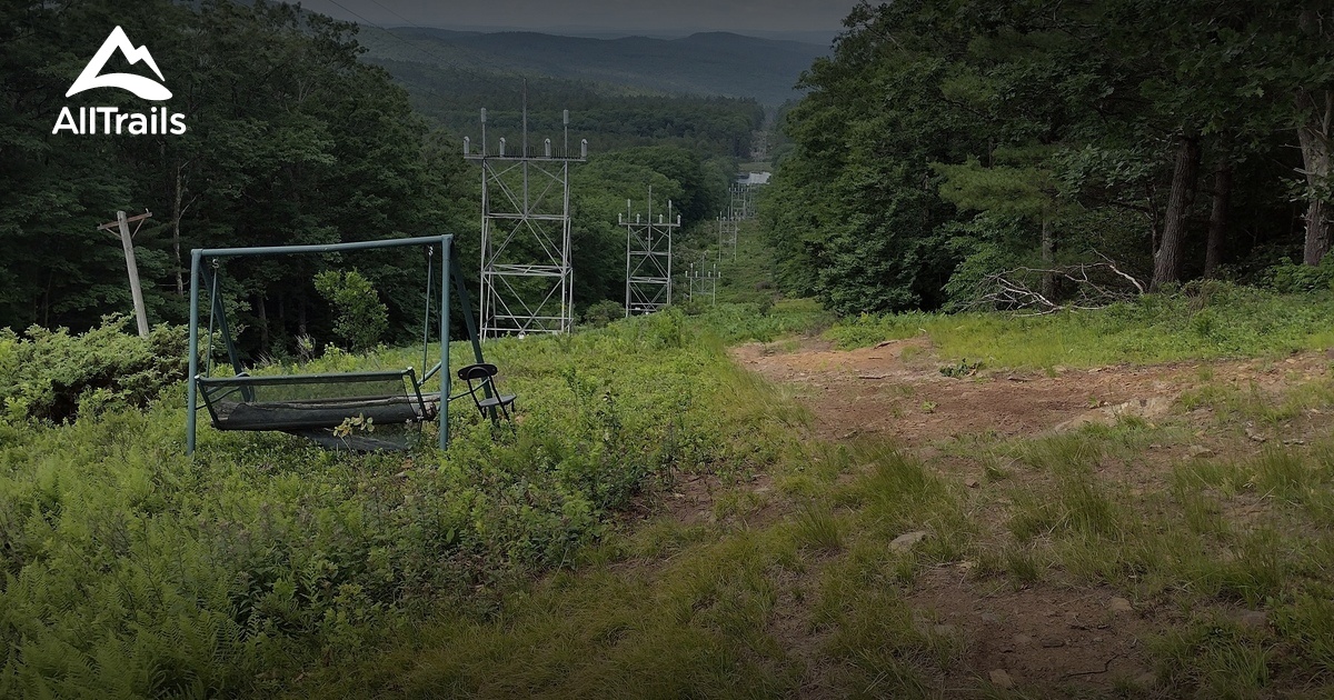 Warwick State Forest : les meilleures randonnées longues | AllTrails