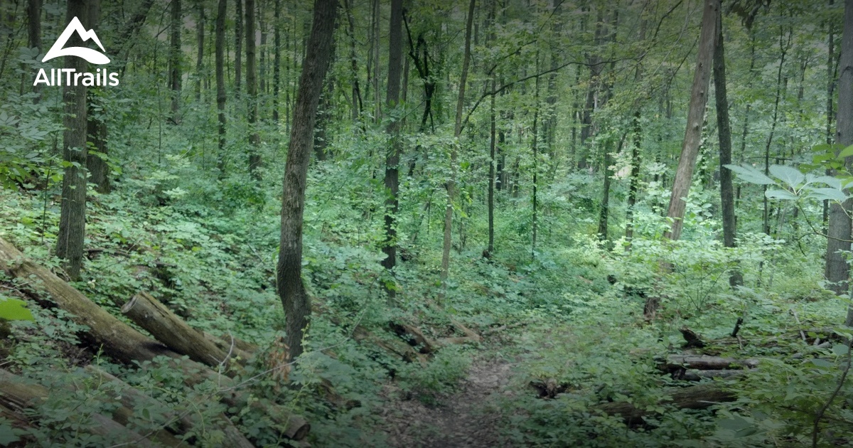 Best Trails in Waterloo State Recreation Area - Michigan | AllTrails