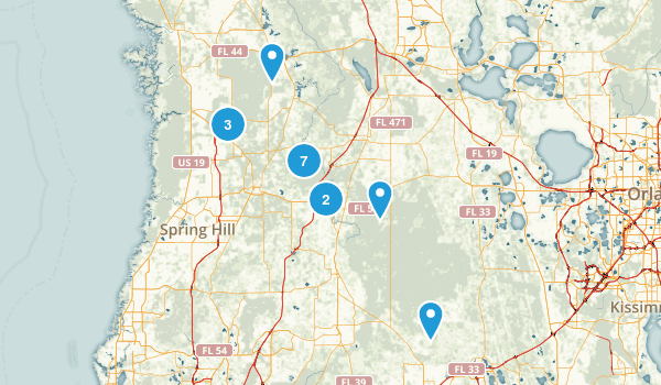 Best Trails in Withlacoochee State Forest - Florida | AllTrails