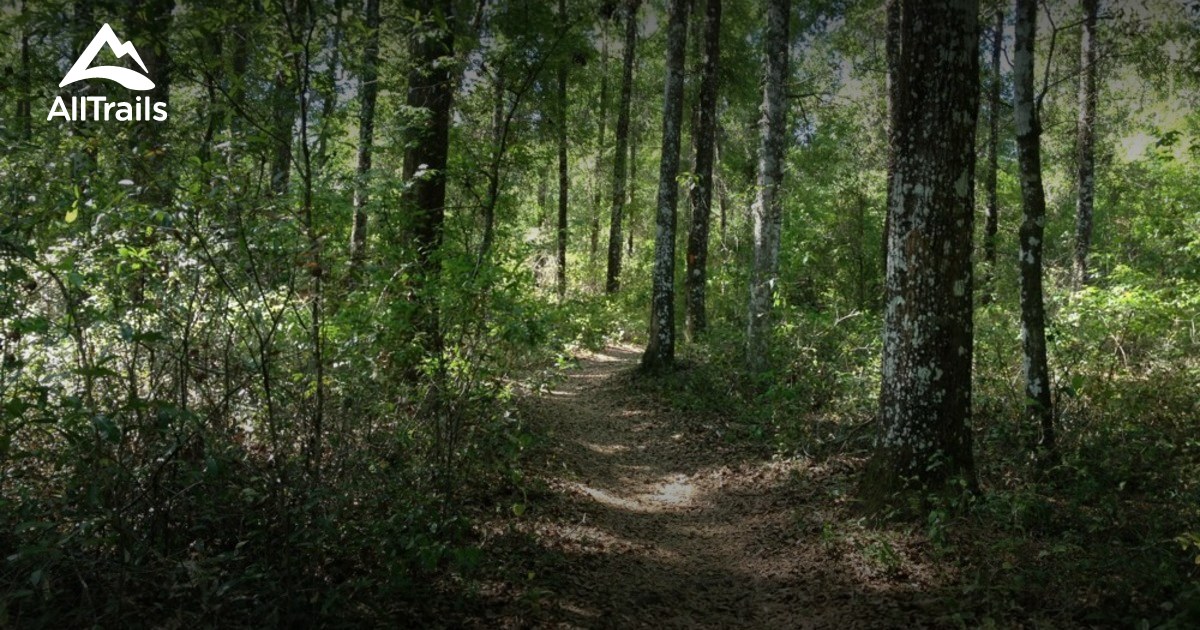 Best Trails in Withlacoochee State Forest - Florida | AllTrails