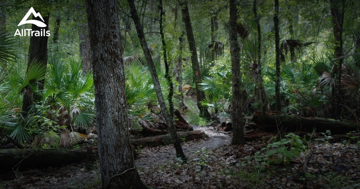 Best Trails in Withlacoochee State Forest - Florida | AllTrails