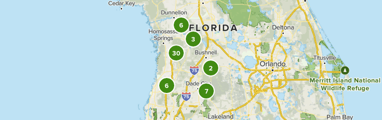 Best Trails in Withlacoochee State Forest - Florida | AllTrails