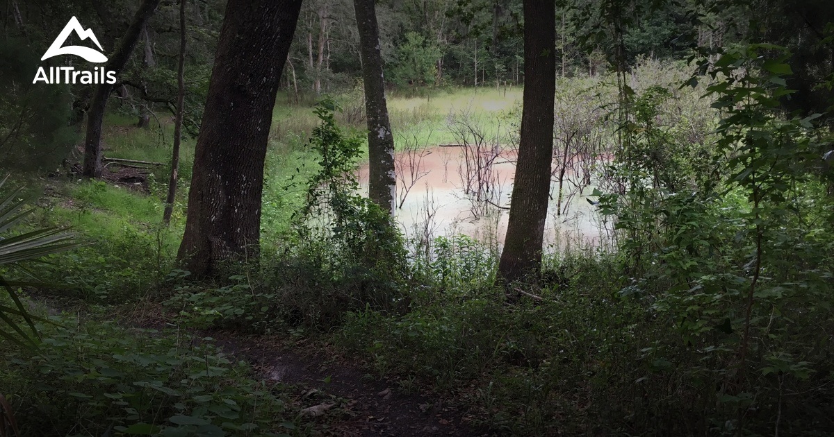 10 Best hikes and trails in Withlacoochee State Forest | AllTrails