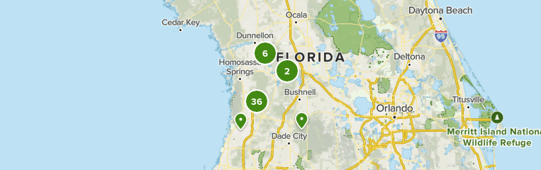 Best trails in Withlacoochee State Forest, Florida | AllTrails