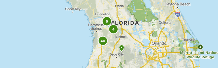 Best trails in Withlacoochee State Forest, Florida | AllTrails