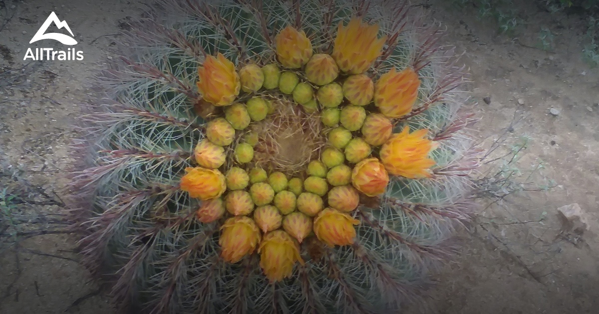 Best Trails in Arthur Pack Regional Park - Arizona | AllTrails