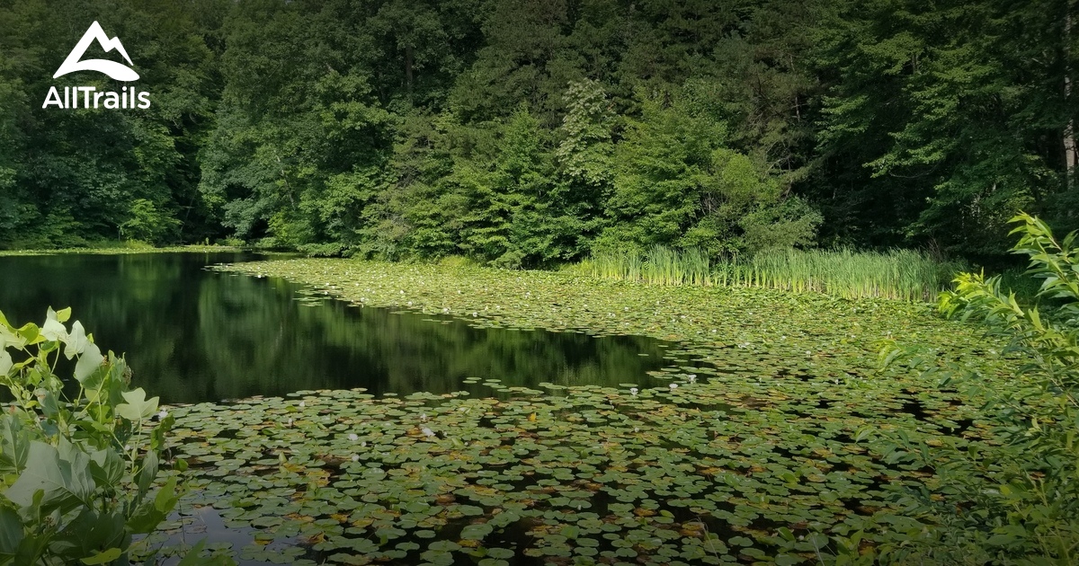 Best hikes and trails in Alley Park | AllTrails