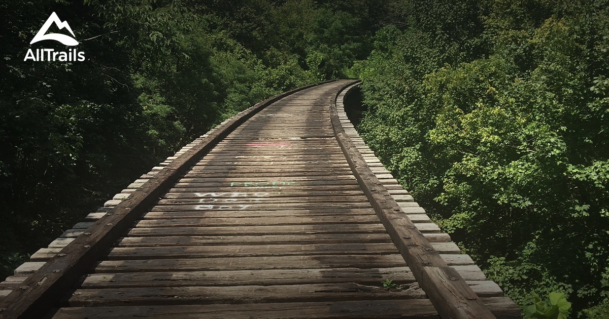 Best forest trails in Ault Park | AllTrails