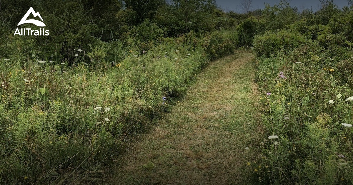 Best hikes and trails in Bender Park | AllTrails