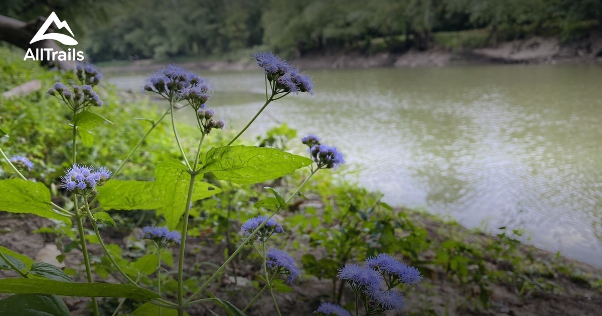 Best hikes and trails in Carpenter Park | AllTrails