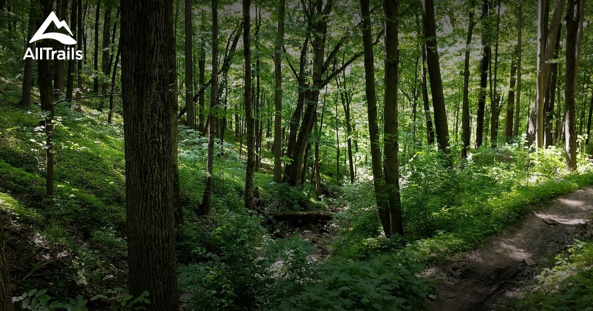 Best hikes and trails in Devou Park | AllTrails