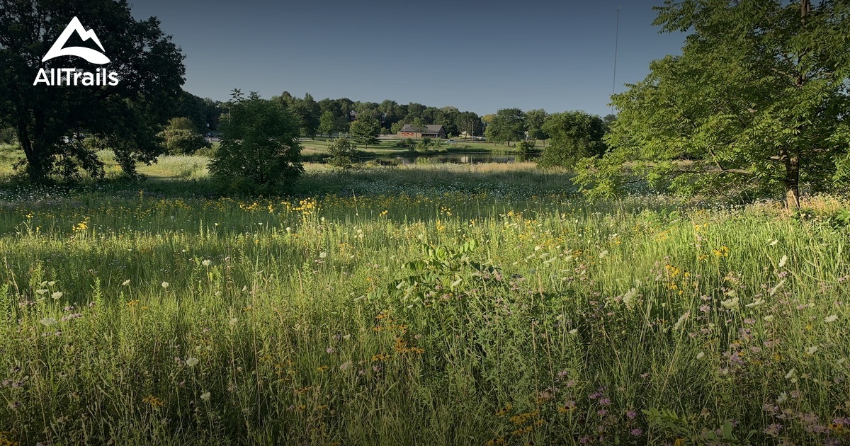Elver Park : les meilleures randonnées avec chiens en laisse | AllTrails