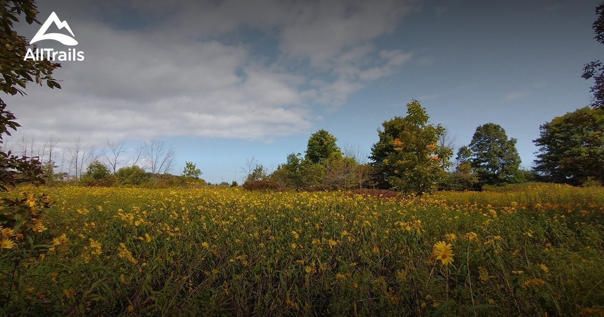 Best hikes and trails in Falk Park | AllTrails