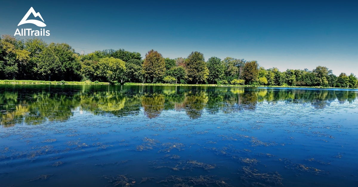 Best hikes and trails in Frame Park | AllTrails