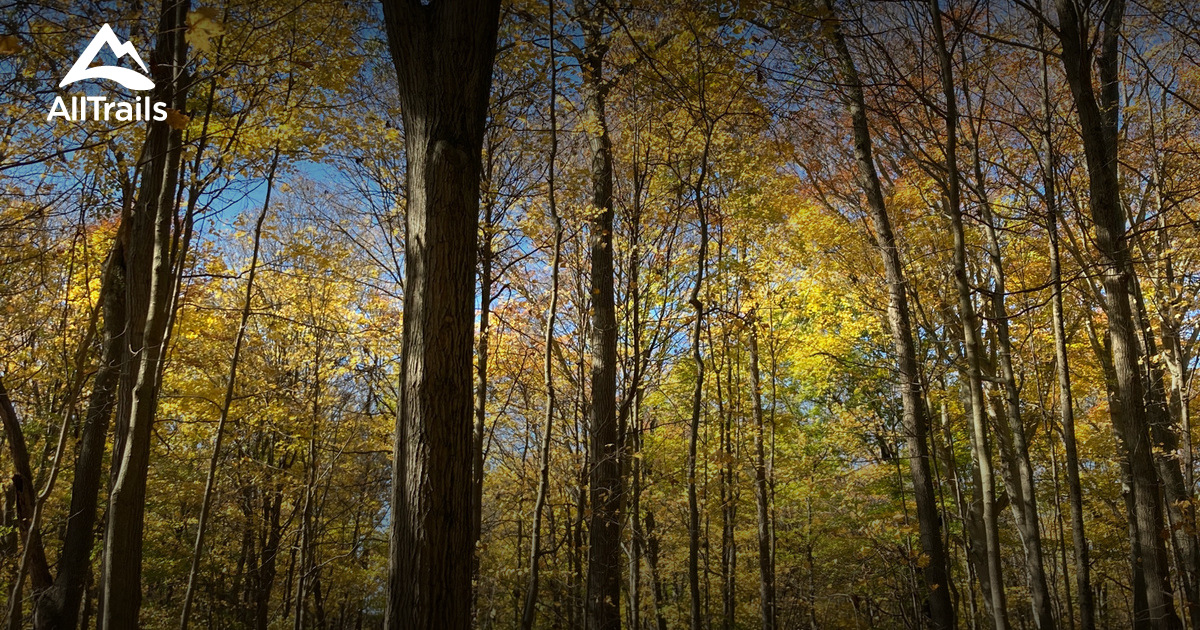 Best hikes and trails in Gahanna Woods Park | AllTrails
