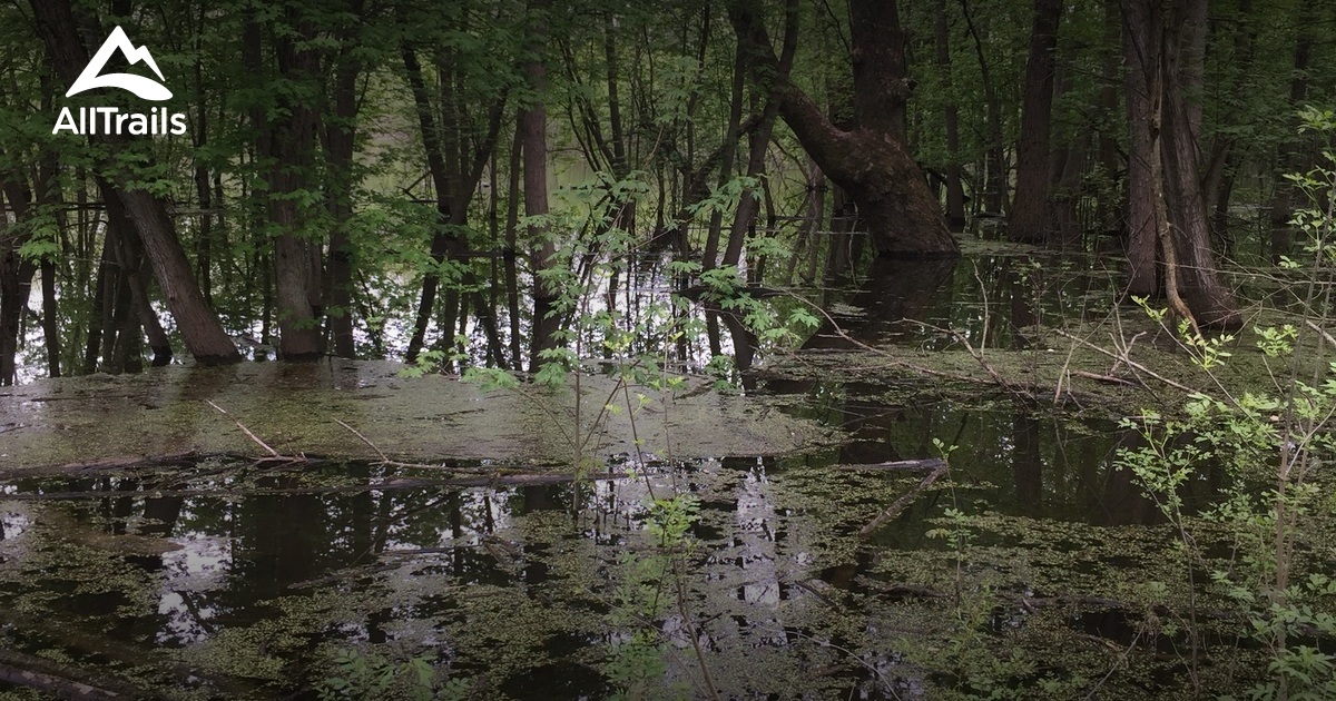 Best hikes and trails in Gilmore Ponds Preserve | AllTrails