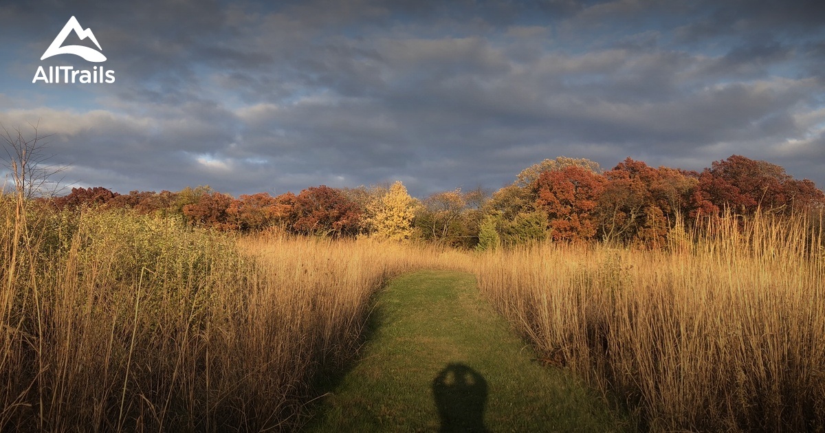 Best hikes and trails in Hampshire Forest Preserve | AllTrails