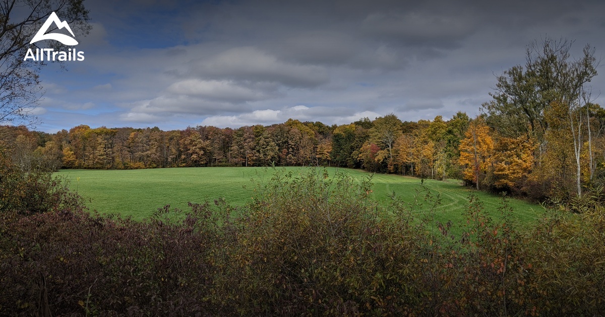 Best hikes and trails in Headwaters Park | AllTrails