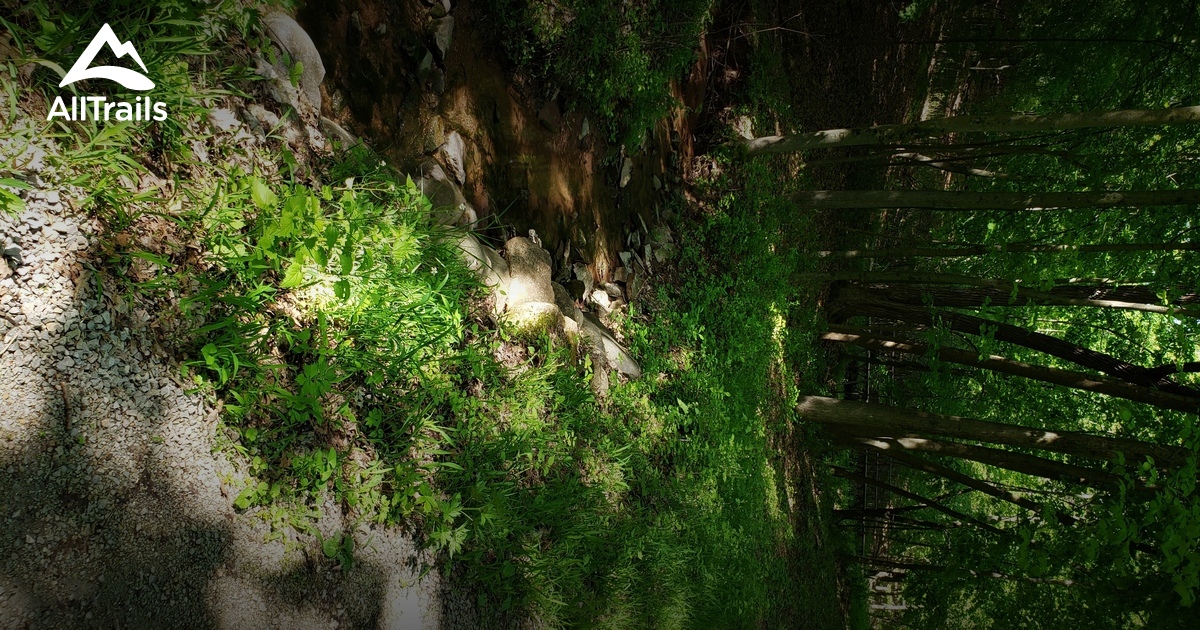 Best hikes and trails in Heesakker Park | AllTrails