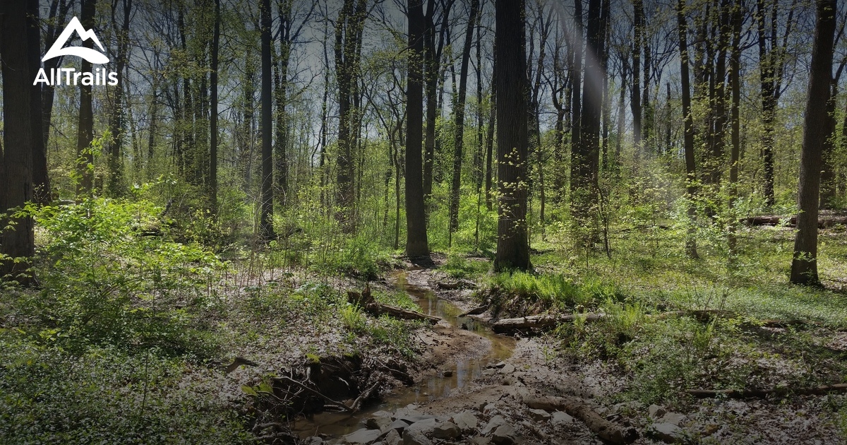 Best hikes and trails in Igleheart Park | AllTrails