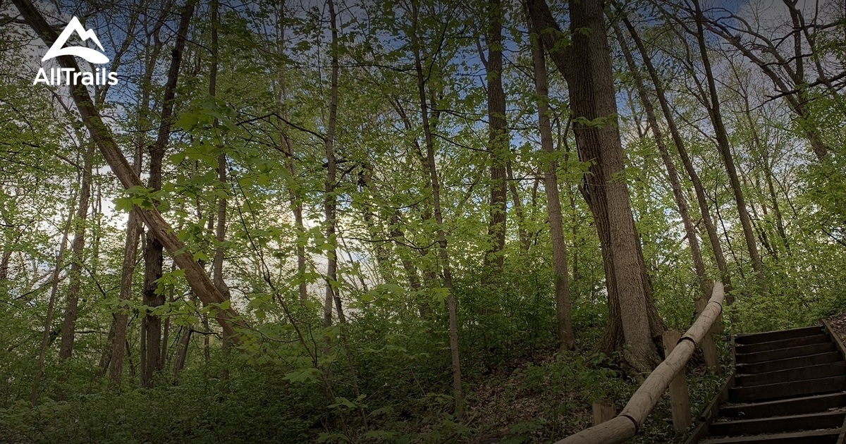 Best hikes and trails in Jacobus Park | AllTrails