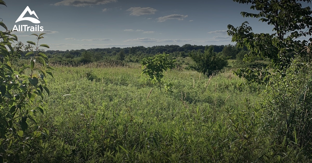 Johnsons Mound Forest Preserve : les meilleures randonnées courtes ...