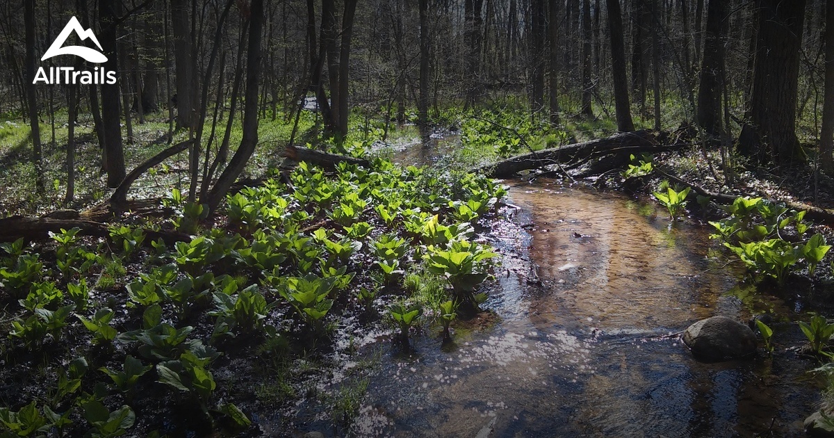 Best trails in Luton Park, Michigan | AllTrails