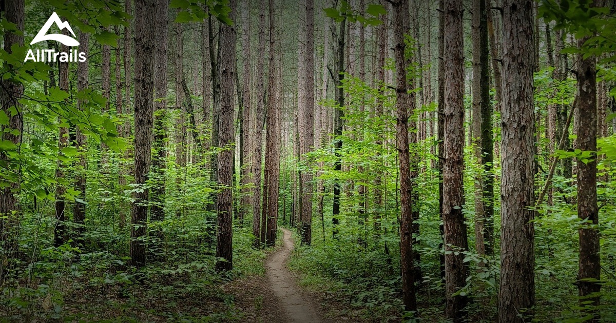 Best hikes and trails in Luton Park | AllTrails