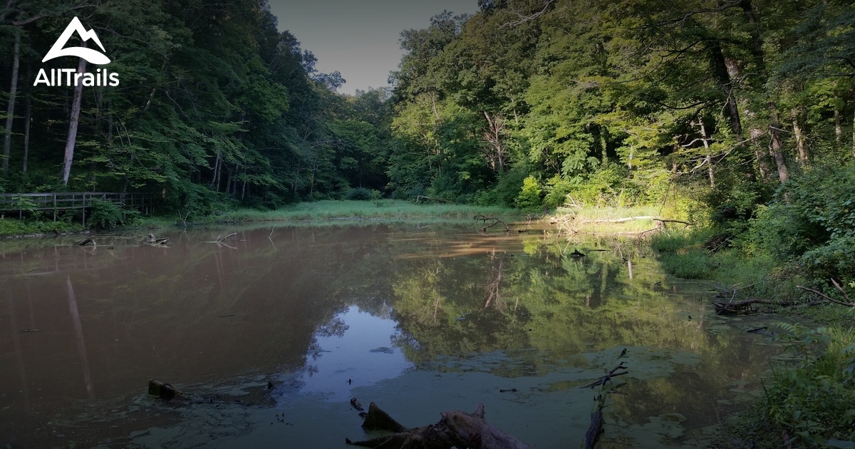 Best Trails in Miami Whitewater Forest Park - Ohio | AllTrails