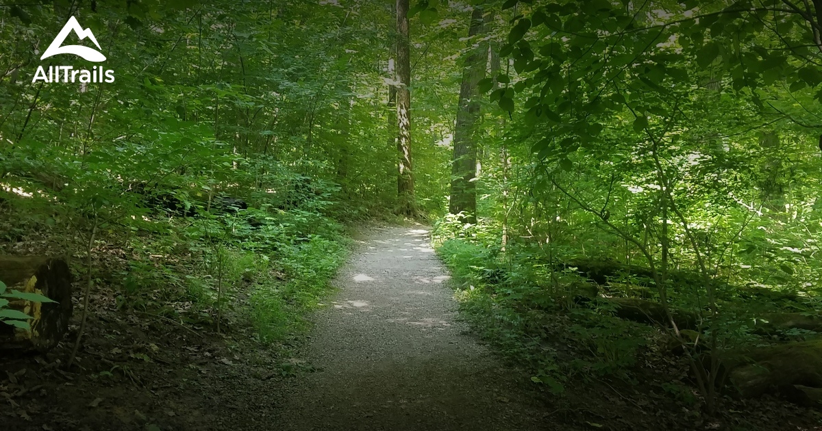 Best Trails in Miami Whitewater Forest Park - Ohio | AllTrails