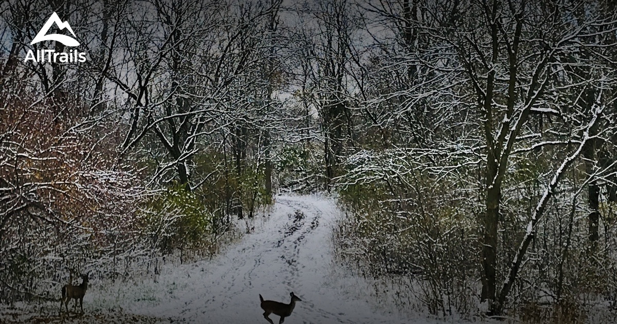 Best hikes and trails in Padgett Park | AllTrails