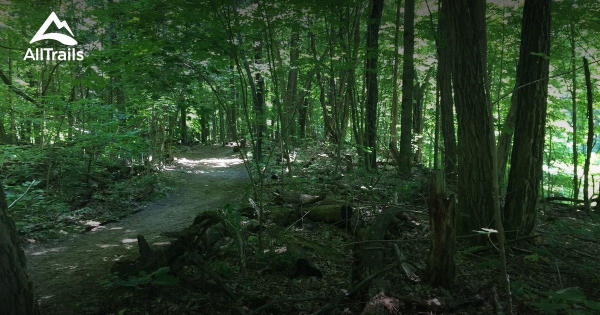 Best hikes and trails in River Styx Valley North Park | AllTrails