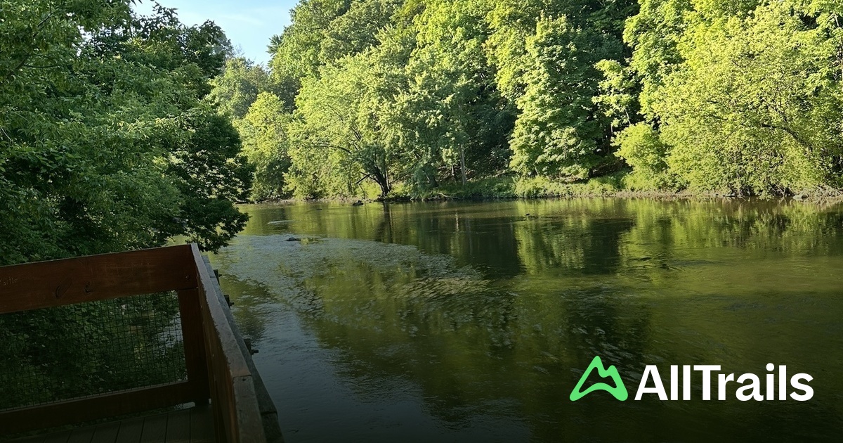 Best hikes and trails in Riverview Park | AllTrails