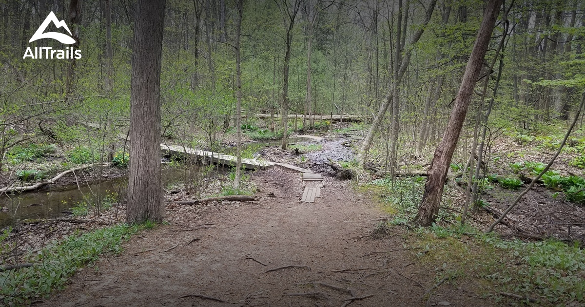 Best Trails in Rotary Park - Michigan | AllTrails