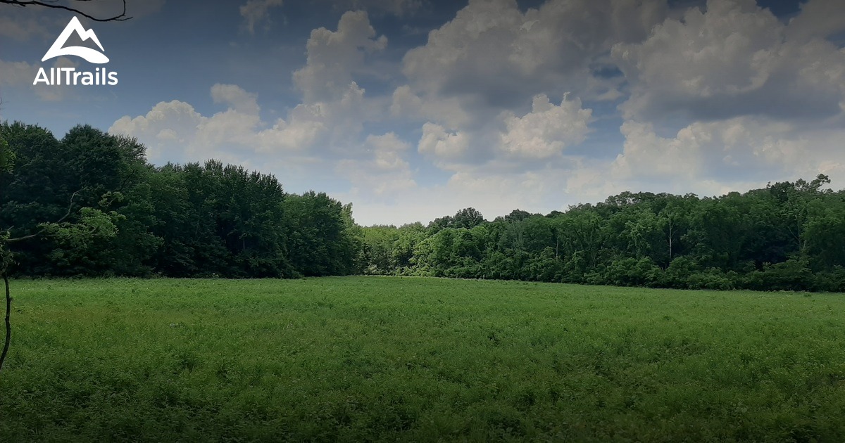 Bedste ruter om søer i Sharon Woods Metro Park | AllTrails