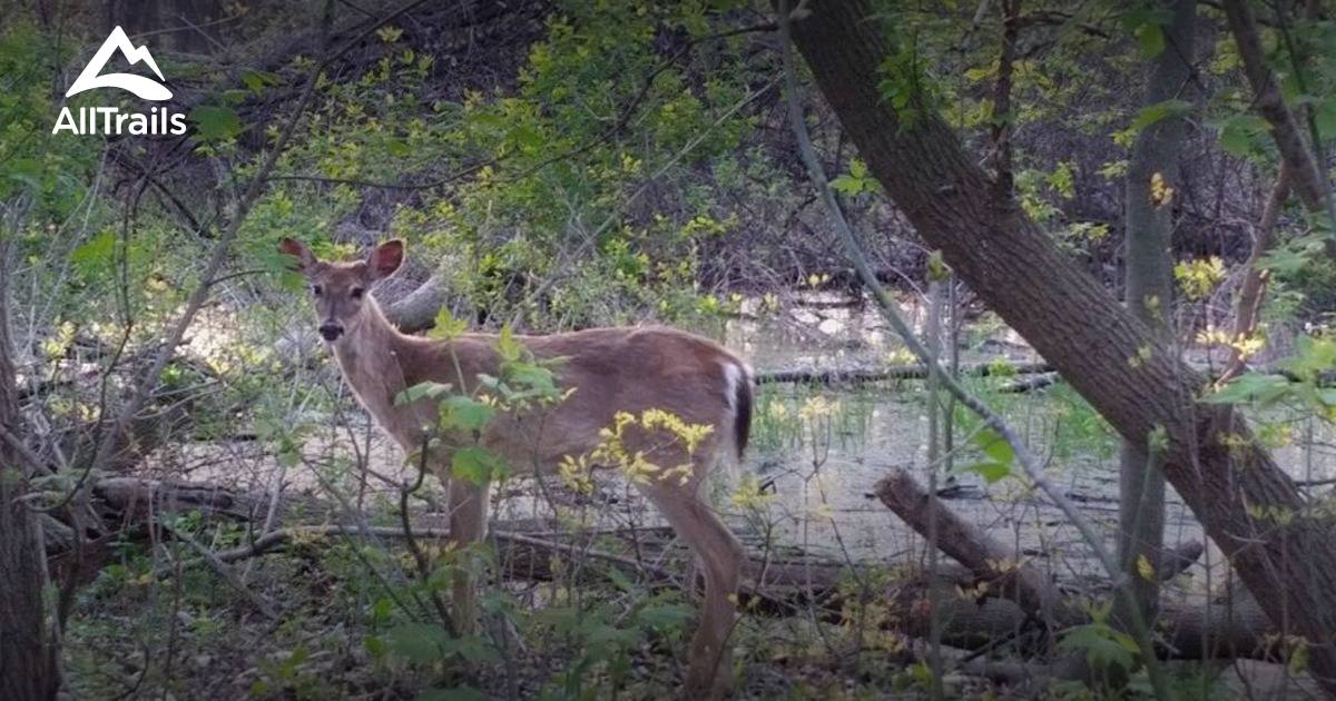 Best hikes and trails in Sharp Park | AllTrails