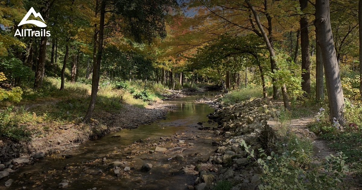 Best hikes and trails in Sheridan Park | AllTrails