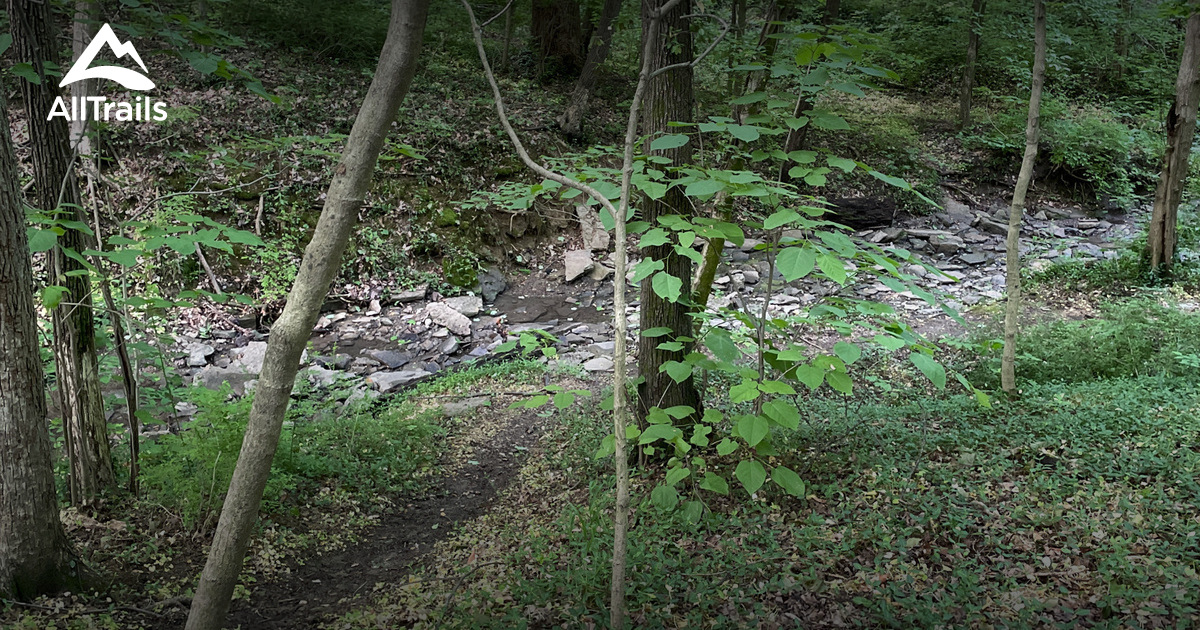 Best hikes and trails in Stanberry Park | AllTrails