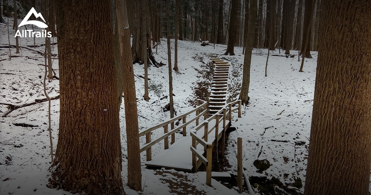 Best hikes and trails in Trumbull Woods Park | AllTrails