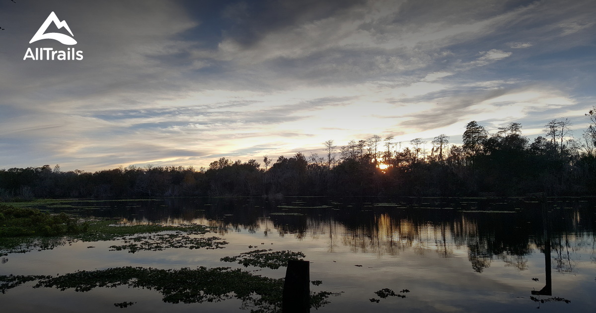 Best Trails in Al Lopez Park - Florida | AllTrails