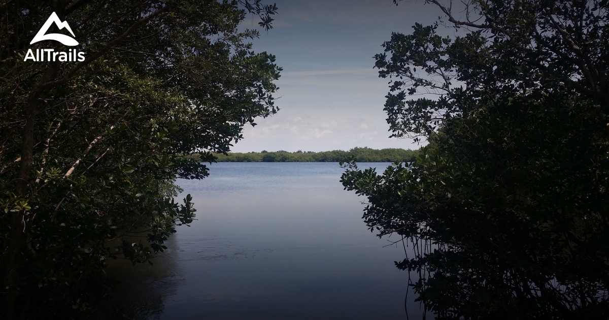 Best hikes and trails in Chapman Field Park | AllTrails