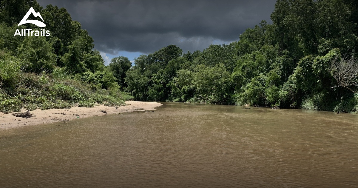Best hikes and trails in Comite River Park | AllTrails