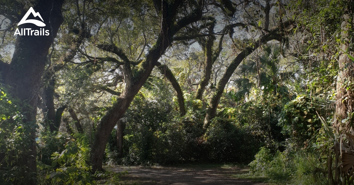 Enchanted Forest Florida Enchanted Forest Visit Space Coast