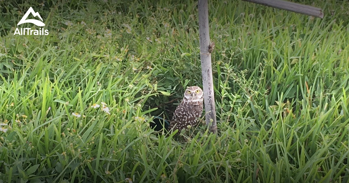 Best hikes and trails in Fern Forest Nature Center | AllTrails